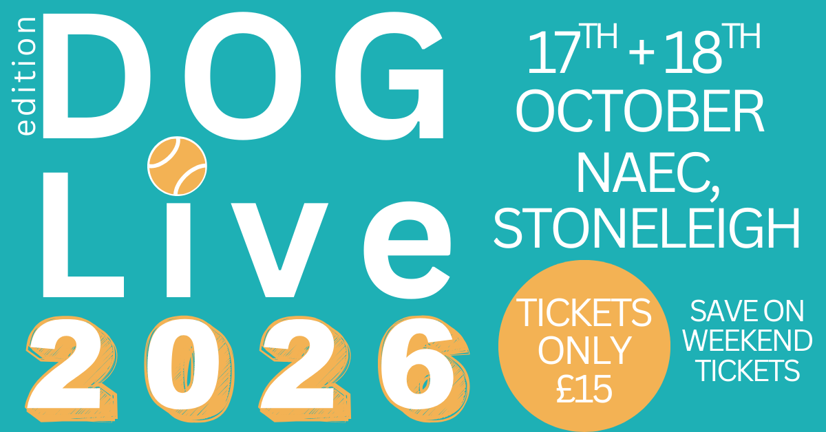 Edition Dog Live Shopping Village